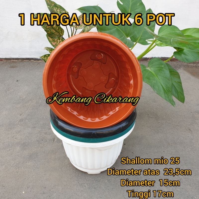 Jual (6pc) SHALLOM MIO 25 : pot bunga pastik tebal murah motif ...