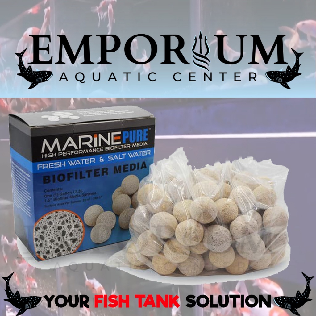 Jual Media Biologis Aquarium Sump/Top Filter/kolam ikan Marine Pure ...