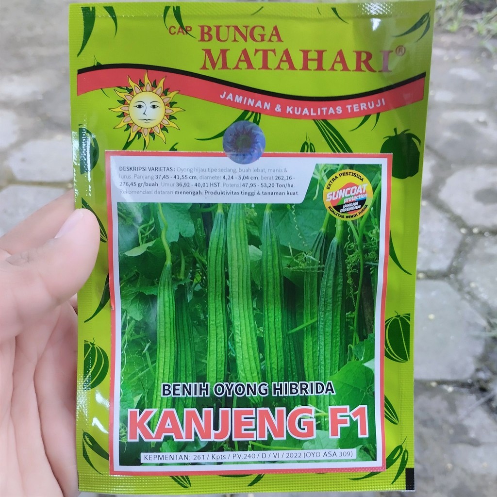Jual Benih Gambas Oyong KANJENG 10gram Biji Bibit Cap Bunga Matahari ...