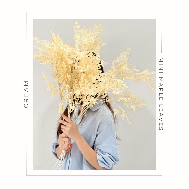 Jual MINI MAPLE LEAVES ARTIFICIAL DAUN PASTEL DAUN PALSU DAUN SILK DAUN ...