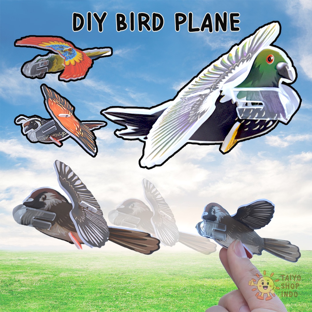 Jual TAIYO Mainan Anak DIY Bird Plane Foam Burung Rakit Flying | Shopee ...
