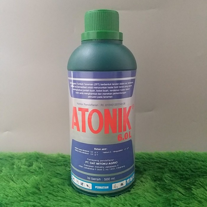Jual Atonik 6.5L 500 mL ZPT Pupuk Cair Zat Pengatur Tumbuh | Shopee ...