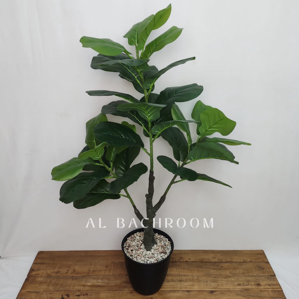 Jual 1 Set tanaman pohon ketapang C3 RB6049 dekorasi hias ruangan sudut ...