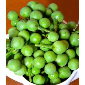 Jual Buah takokak 250 gr tekokak cepkoakak terung pipit segar(solanum ...