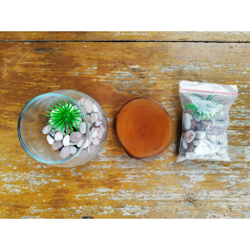 Jual AKUARIUM MINI BULAT AESTHETIC / TANK CUPANG / AQUARIUM GUPPY ...