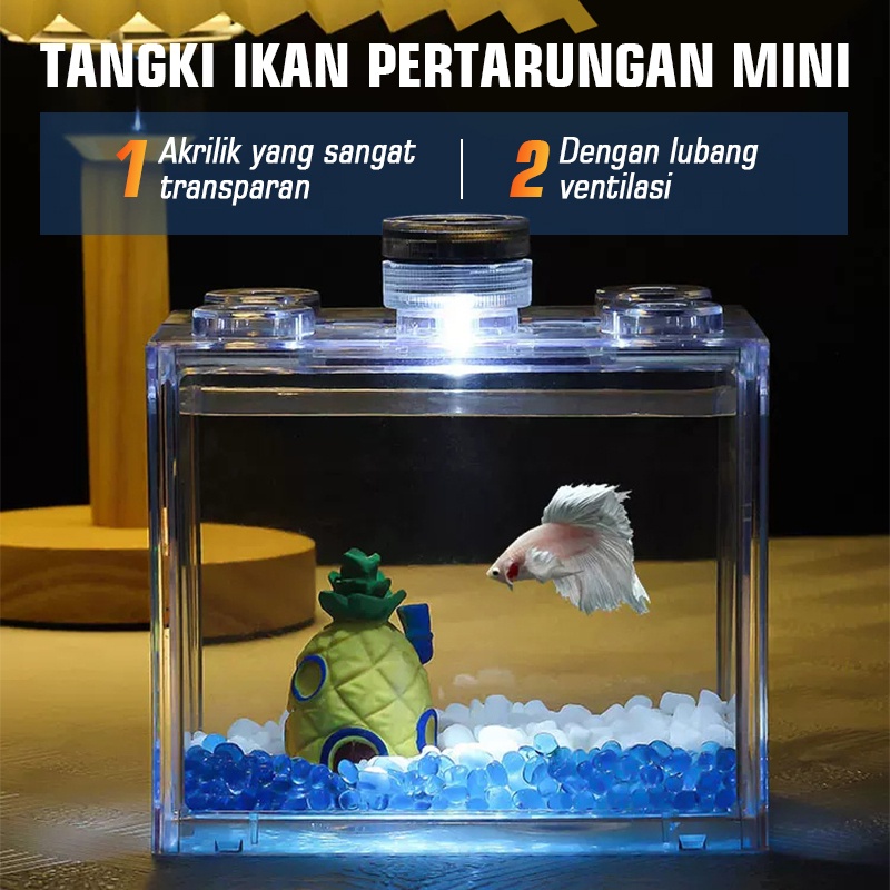 Jual Aquarium Mini Cupang 12x8cm Akrilik Akuarium Block Ikan Hias Emas ...