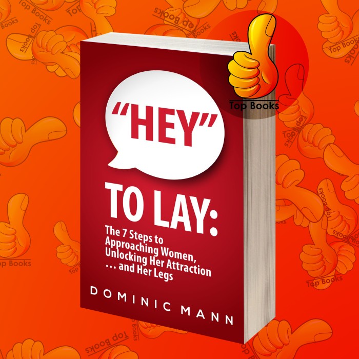 Jual Buku “Hey” to Lay: The 7 Steps to Approaching Women, Unlocking Her ...
