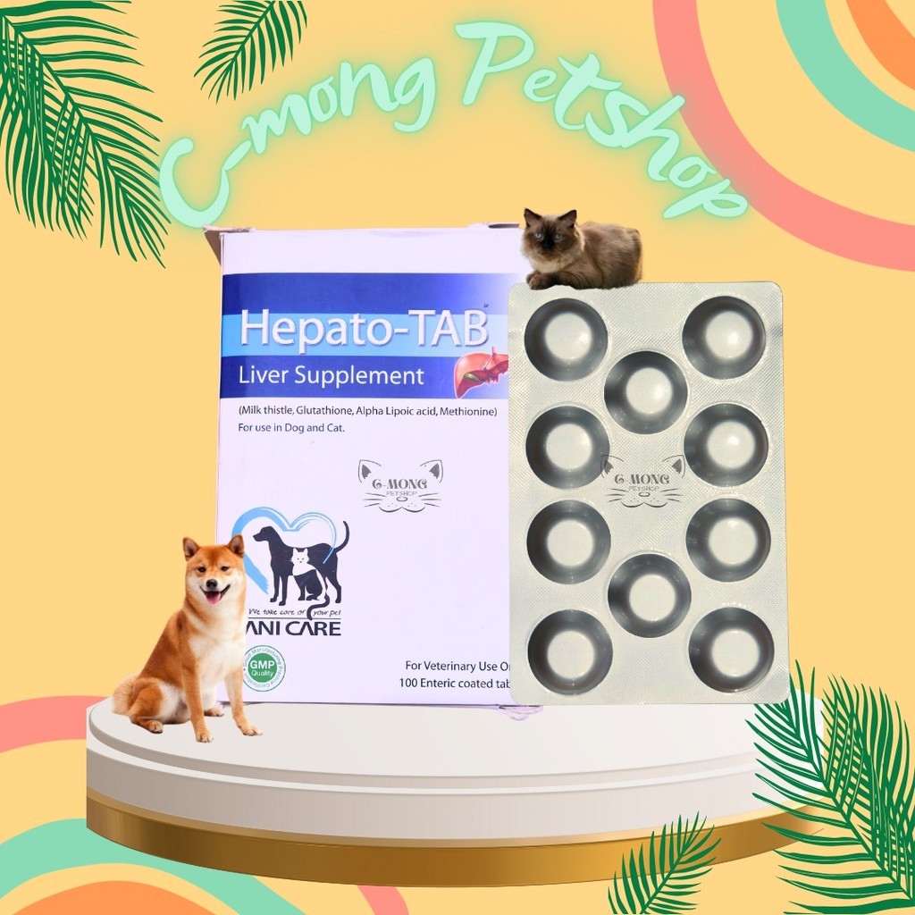 Jual HEPATO TAB Liver Supplement Vitamin Cat Dog / Hepatic (Samylin ...