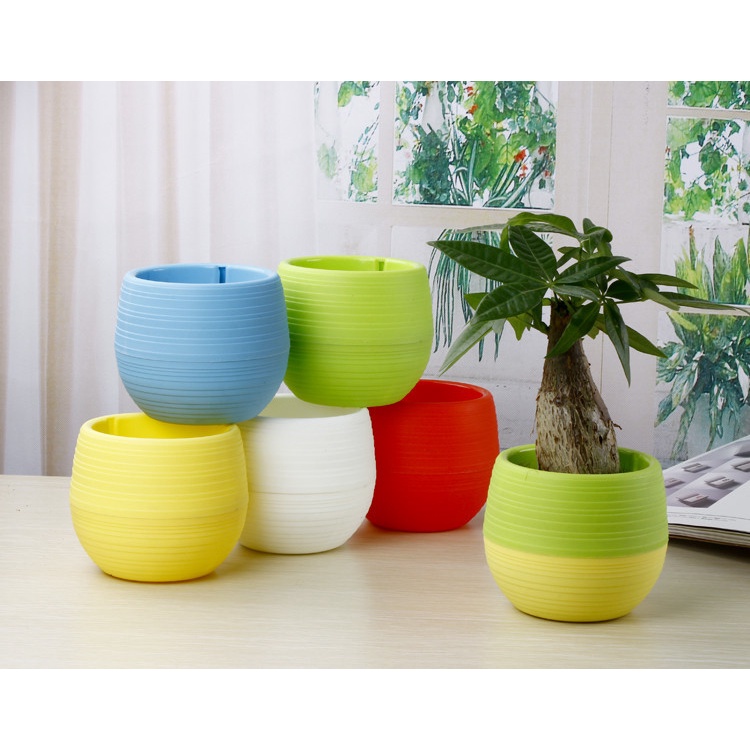 Jual Pot Bunga Tanaman Sukulen Succulent Plastik Mini 5cm | Shopee ...