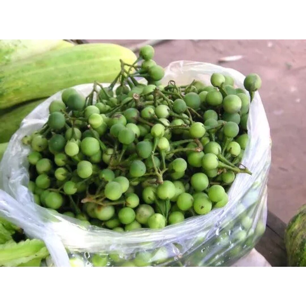 Jual Buah tekokak/ buah cepokak segar 1kg | Shopee Indonesia