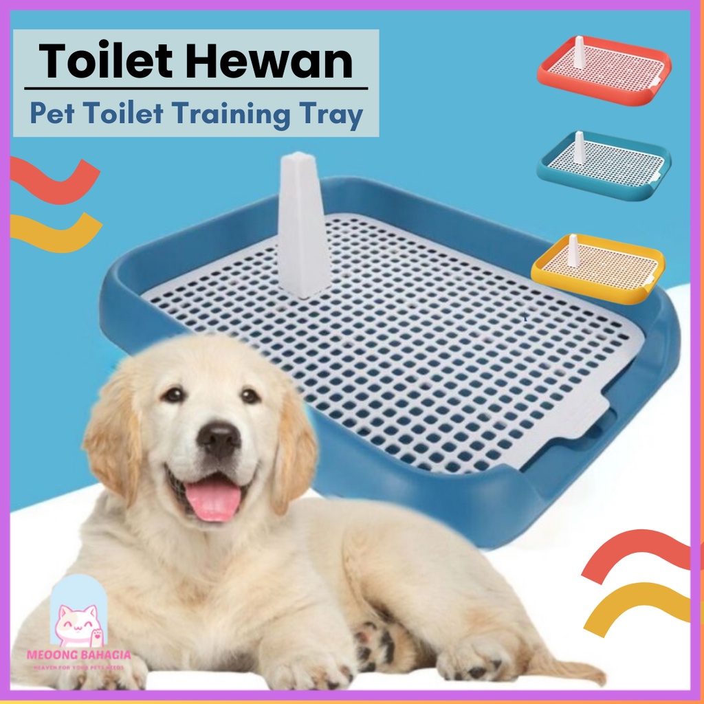 Jual Bantalan Potty Kucing Anjing (Dengan Dudukan) Toilet Training ...