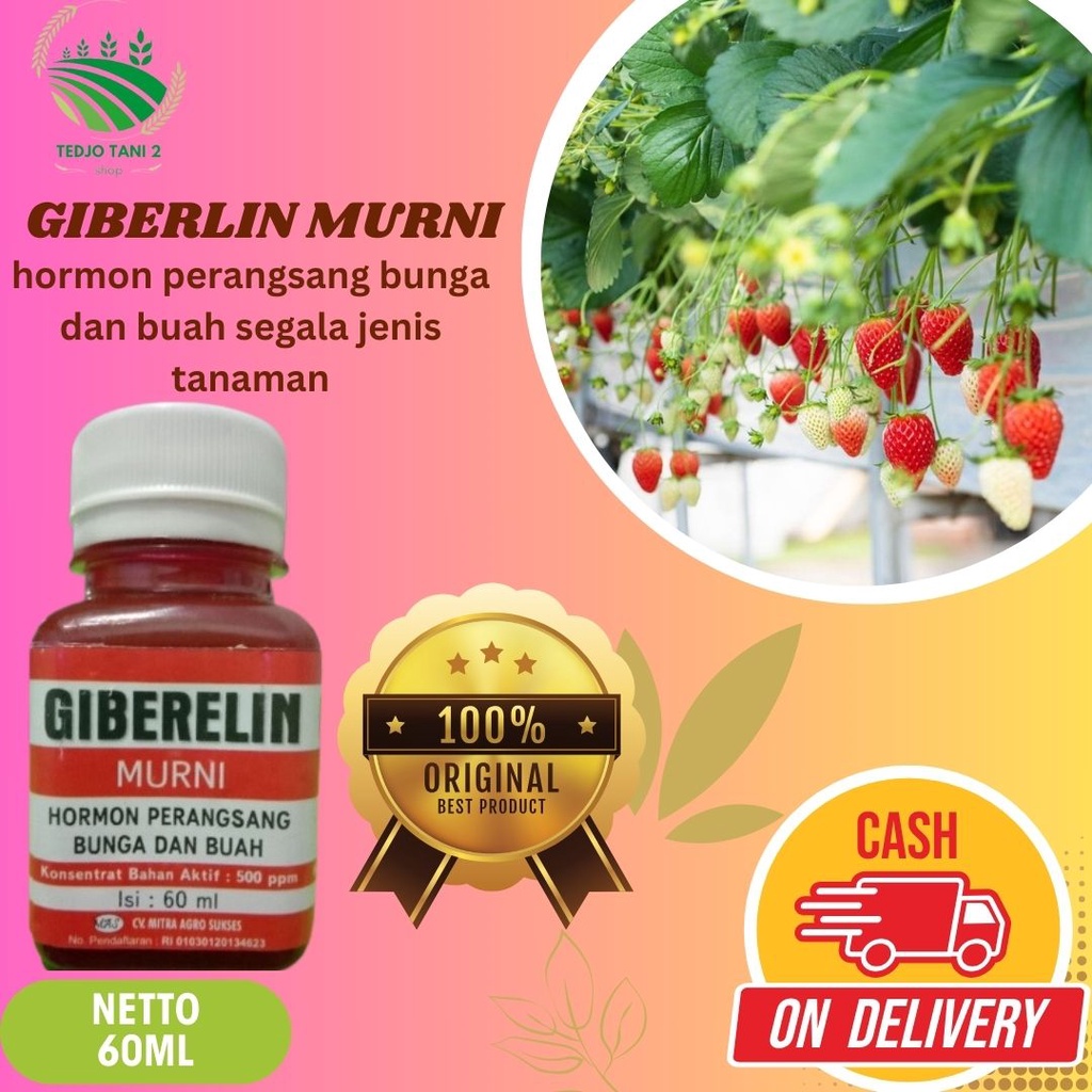 Jual Fertilizer Hormon ZPT Pemacu Pertumbuhan & Perkembangan Tanaman ...