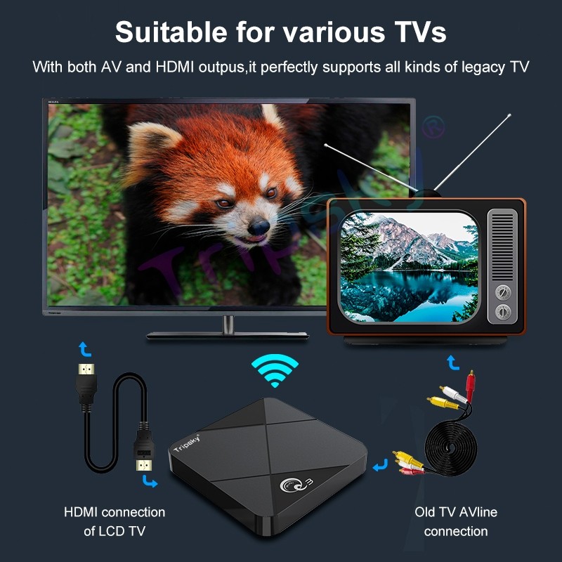 Jual Tripsky Android Tv Box MiniQ3 Ram 2gb Rom 16gb Android 9 Wifi 2.4G ...