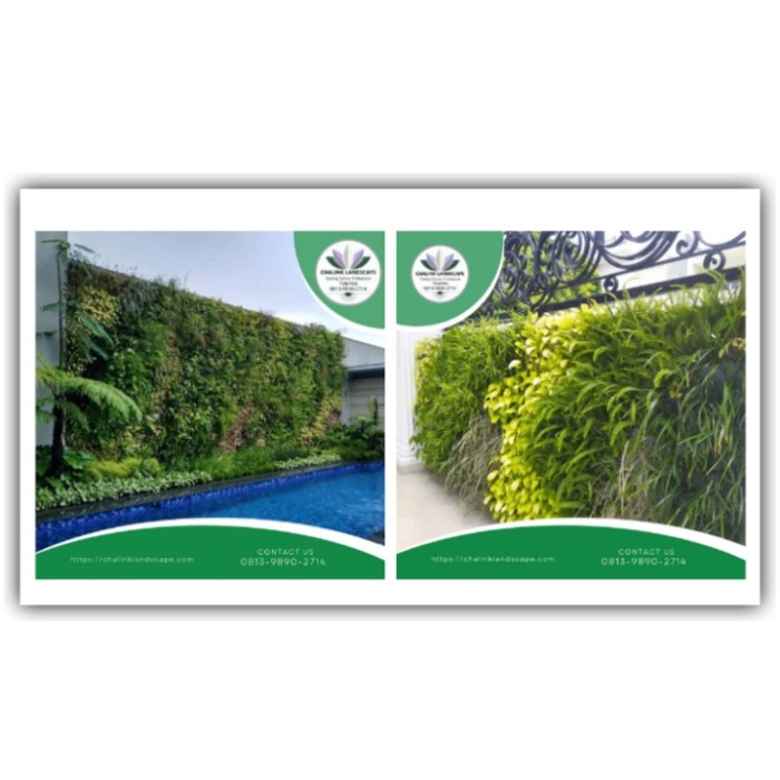 Jual tanaman vertical garden / taman VERTICAL / green wall / taman ...