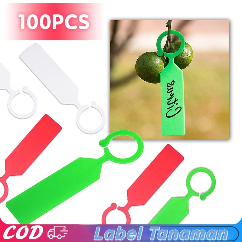 Jual 100pcs Label Tanaman Tanaman Pvc Waterproof Tag Tanaman Warna Label Tanaman Tancap Penanda ...