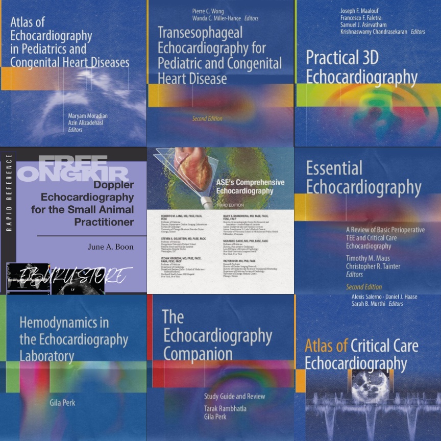 Jual Echocardiography 2022 Atlas Doppler Transesophageal 3D Hemodynamics Pediatrics | Shopee ...