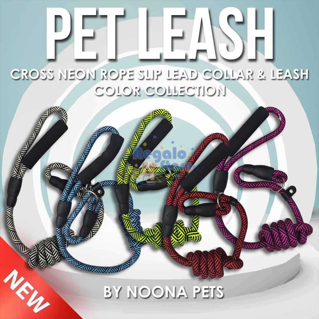 Jual Tali Tuntun Anjing Cross Neon Rope Slip Lead Dog Leash by Noona ...