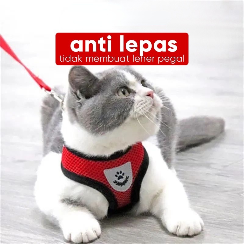 Jual tali kucing anjing harness kucing rompi tapi tuntun hewan ...