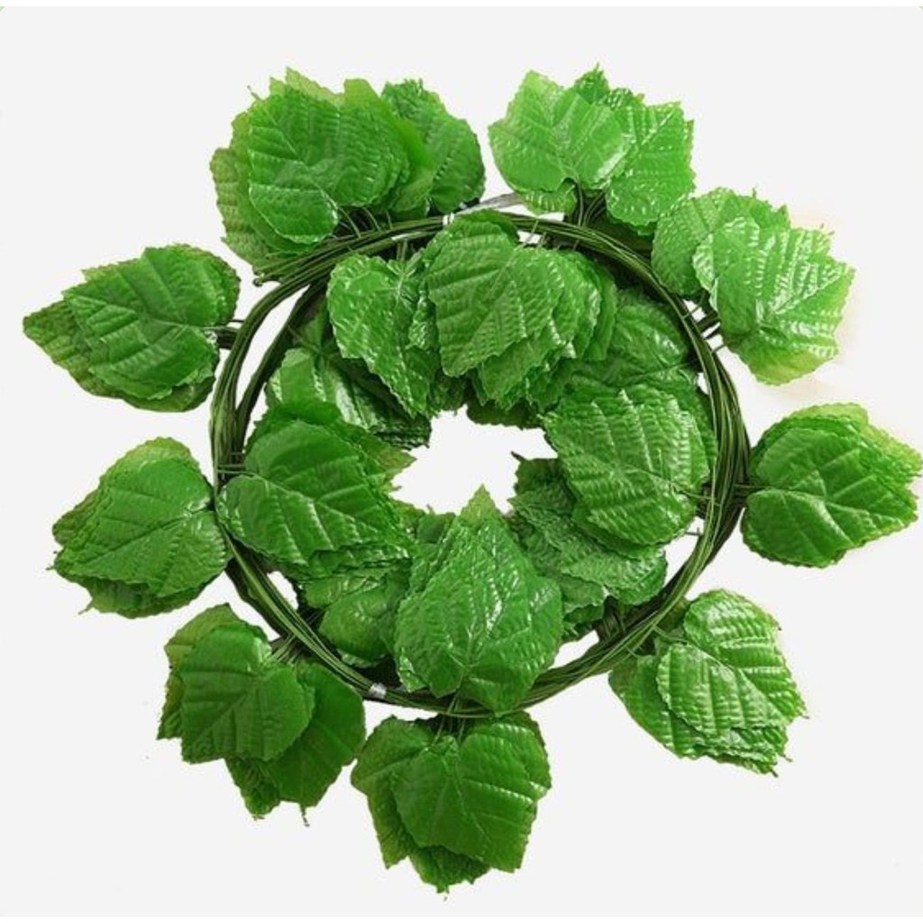 Jual Daun Rambat Besar Anggur Sulur 1m Warna Hijau Muda Plastik Tanaman ...
