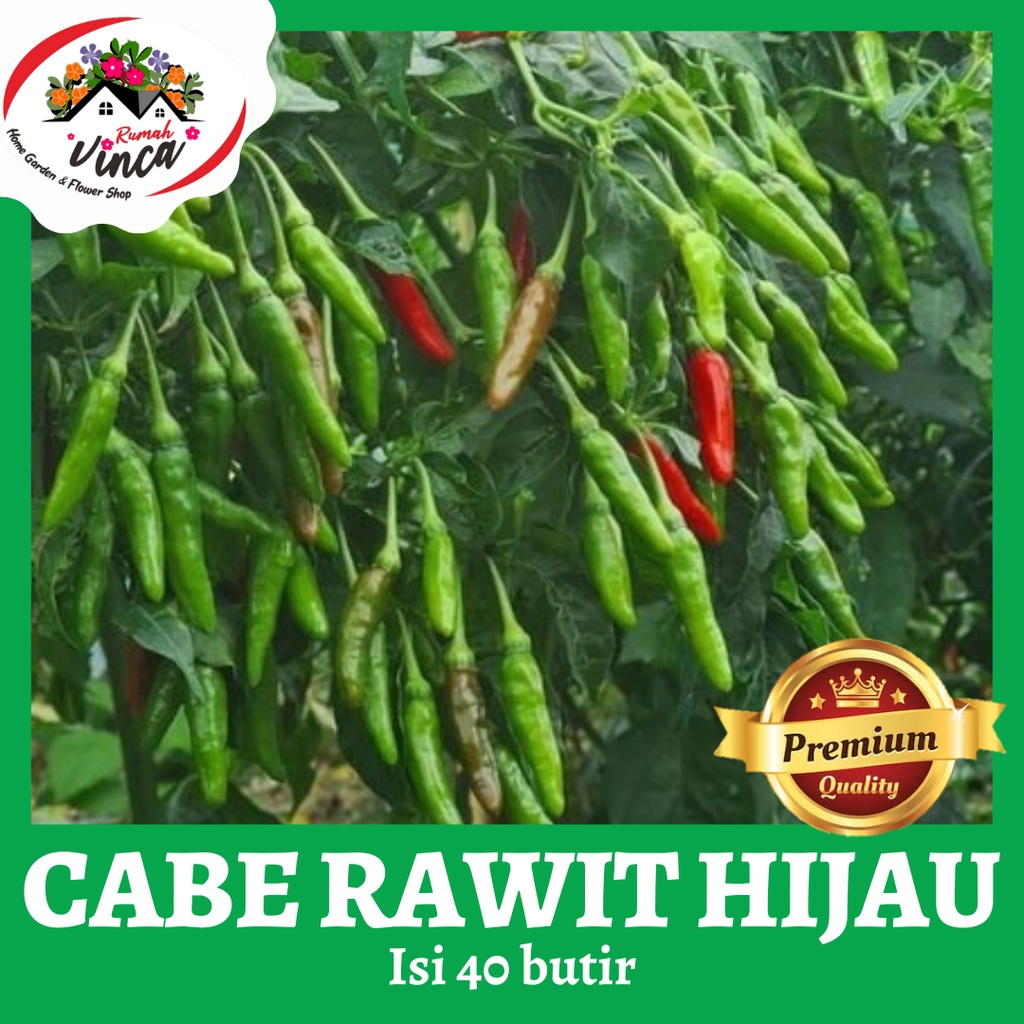 Jual Benih Bibit Cabe RAWIT HIJAU F1 Cabai Rawit Setan Super Pedas | Shopee Indonesia