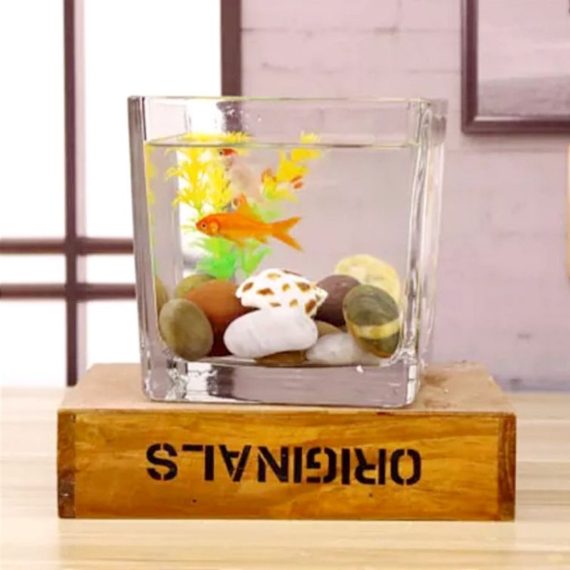 Jual AQUARIUM MINI KOTAK PERSEGI 12 CM / AKUARIUM IKAN HIAS KECIL ...