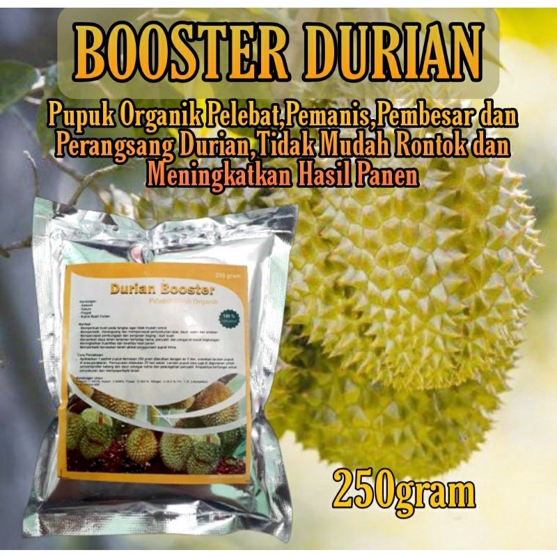 Jual TpI- Pupuk Booster Organik Pelebat Buah Durian dan Pemacu Bunga dan Buah Durian Agar Cepat ...
