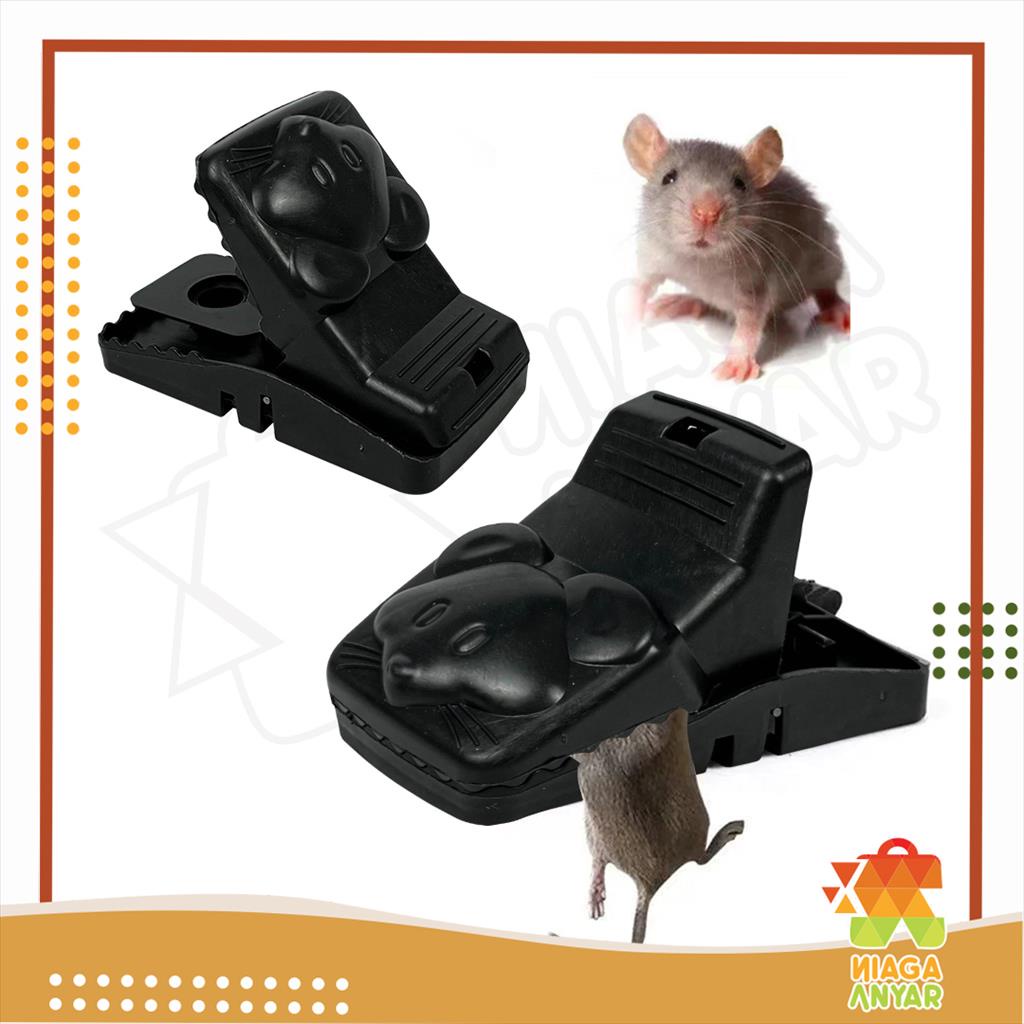 Jual NA Perangkap Jebakan Tikus Mouse Trap PVC / Alat Jepretan Jepit ...