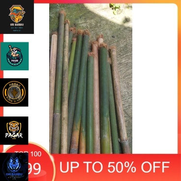 Jual Obor atau colen bambu panjang 60 cm #OM | Shopee Indonesia