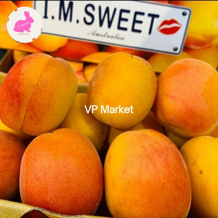 Jual Apricot Australia Premium | Buah Aprikot Australia 500g | Box ...