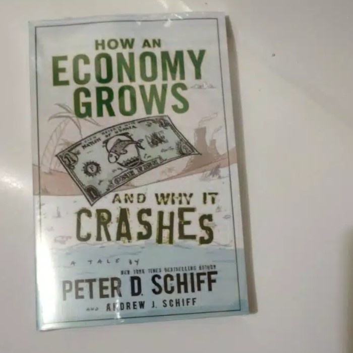 Jual PROMO [ Buku Cetak ] How an Economy Grows and Why it Crashes by ...