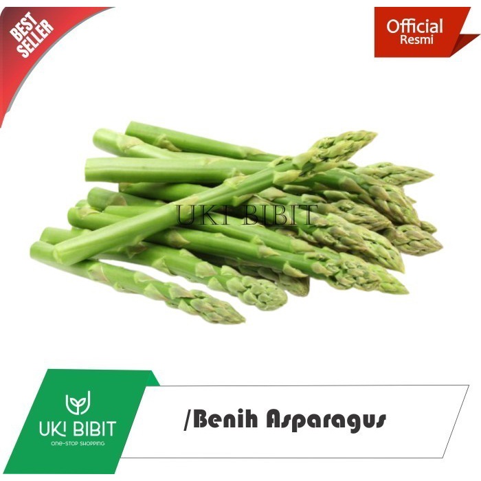 Jual ( 100 Butir ) Benih Asparagus | Mary Washington | Shopee Indonesia