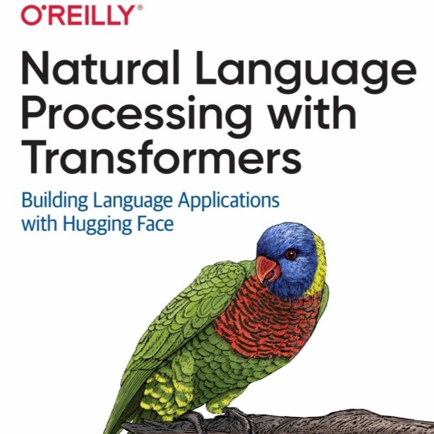 Jual Natural Language Processing With Transformers | Shopee Indonesia Jual Natural Language Processing With Transformers | Shopee Indonesia