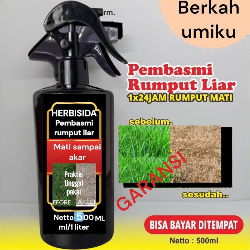 Jual CAIRAN SEMPROT PEMBASMI RUMPUT LIAR & GULMA 250ml | Herbisida ...