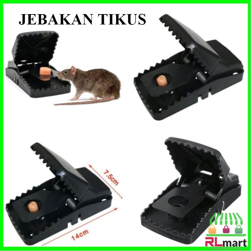 Jual Jebakan Tikus - Jepitan Tikus - Perangkap Tikus - Super Ampuh ...