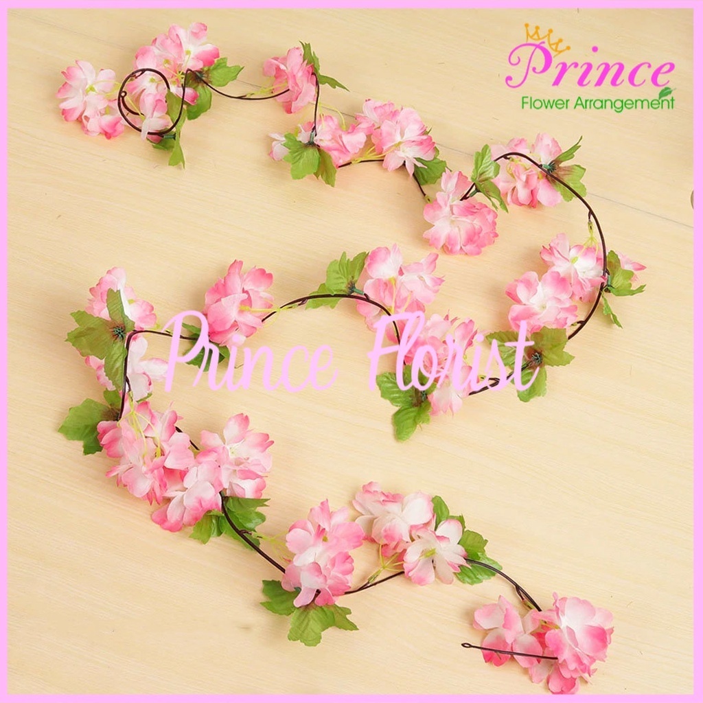 Jual Bunga Rambat Juntai Garlan Cherry Blossom - Bunga Cherry Blossom ...