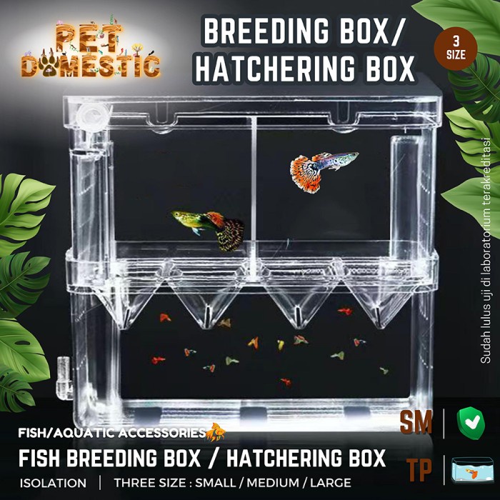 Jual HATCHERING BOX / BREEDING BOX GUPPY / TEMPAT KARANTINA IKAN CUPANG ...