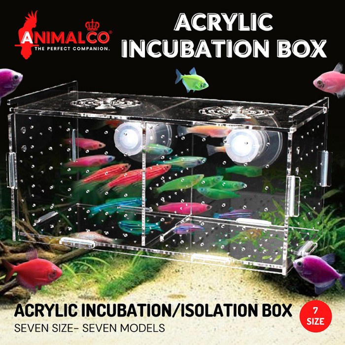 Jual ACRYLIC INCUBATION BOX / TEMPAT KARANTINA IKAN AKRILIK /INCUBATION BOX | Shopee Indonesia