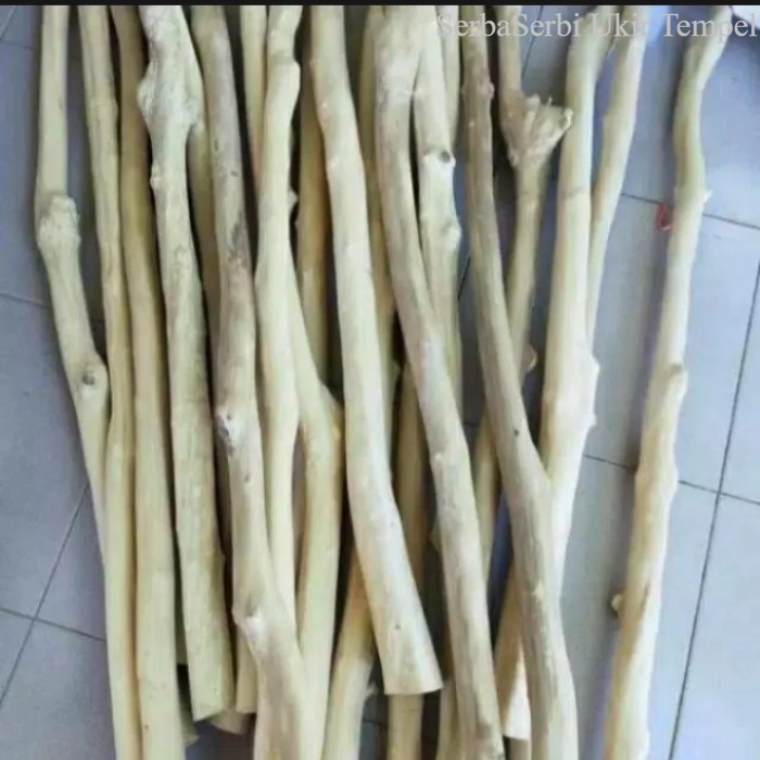 Jual RANTING POHON JATI KAYU RANTING DEKORASI PANJANG 100-120CM ...