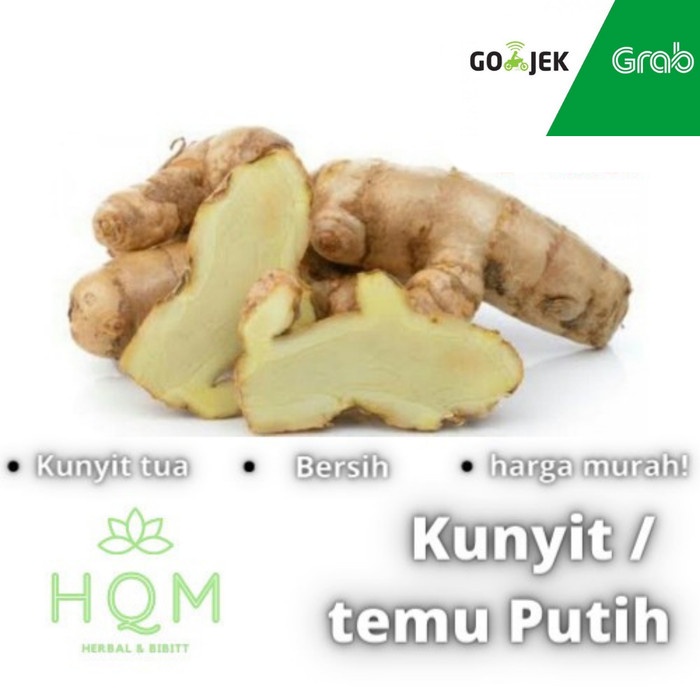 Jual Temu putih segar 1kg / kunyit kunir putih curcuma zedoaria murah ...