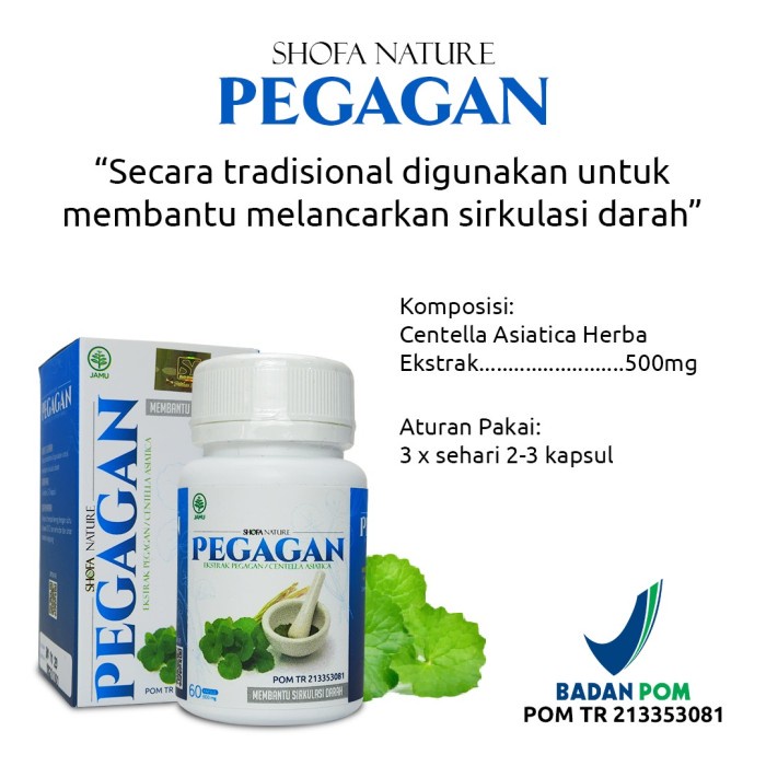 Jual Obat pikun & keceerdasan otak kapsul ekstrak pegagan isi 60 shofa nature | Shopee Indonesia