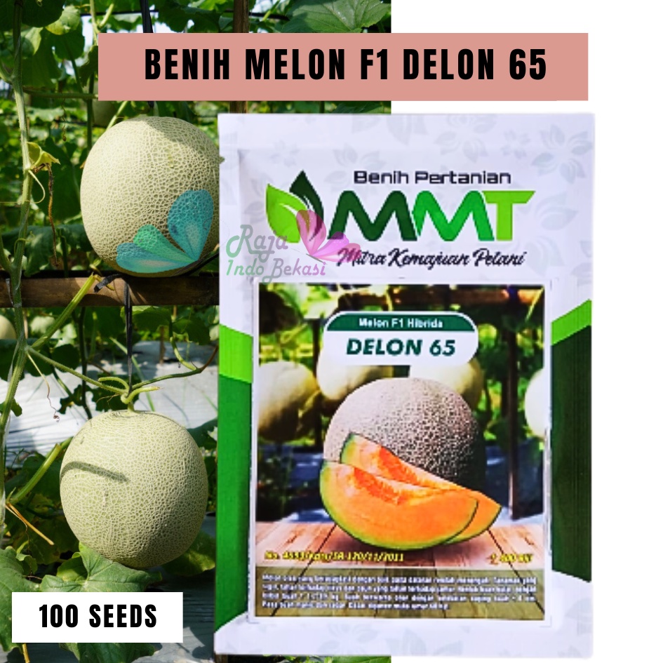 Jual ORI Biji Benih MELON F1 HIBRIDA DELON 65 MMT 400 Seed - Kemasan ...