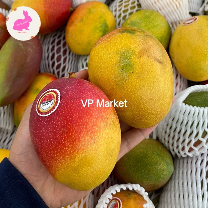 Jual Mangga Merah Pelangi Manis & Wangi | Buah Mangga Red | 1kg ...