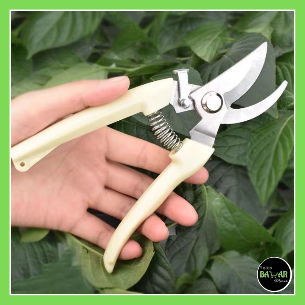 Jual Gunting Dahan Ranting Pohon / Gunting Dahan / Tree Pruner ...