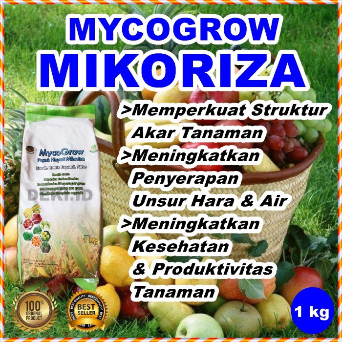 Jual Mycogrow 1 Kg Pupuk Mikoriza Agen Hayati Jamur Organik Mycoriza ...
