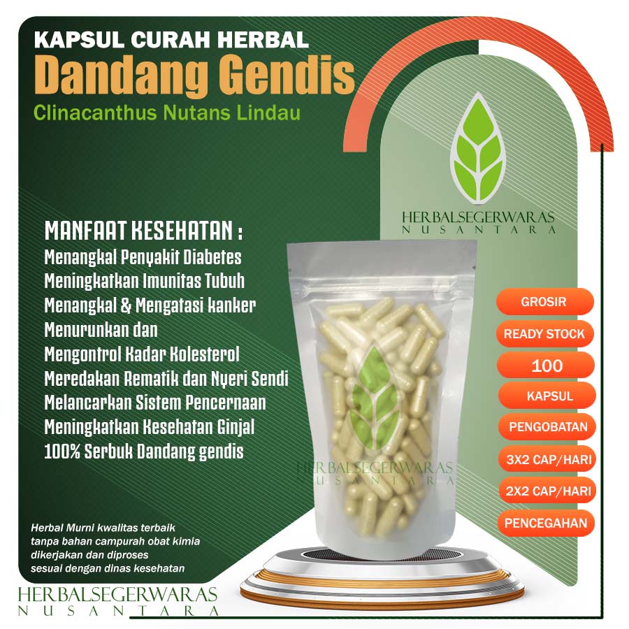 Jual DANDANG GENDIS 100 Kapsul Herbal Diabetes Kolesterol Ginjal ...