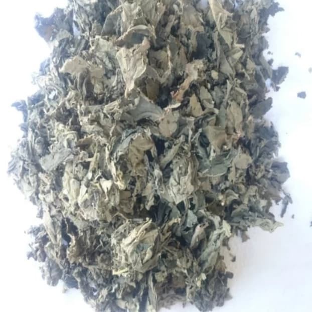 Jual Simplisia Daun Kersen / Teh Herbal Daun Kersen / Daun Talok Kering ...