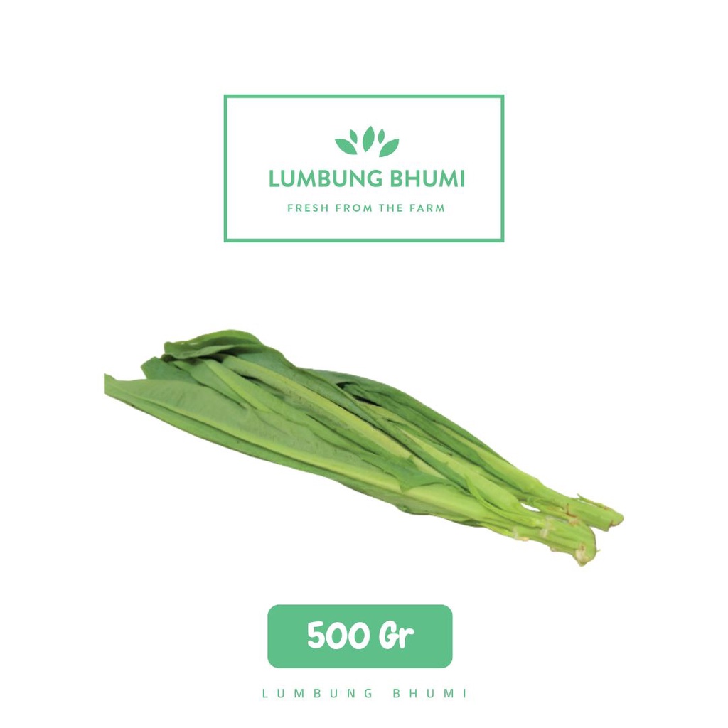 Jual Fumak Sayur 500 Gr - Lumbung Bhumi | Shopee Indonesia