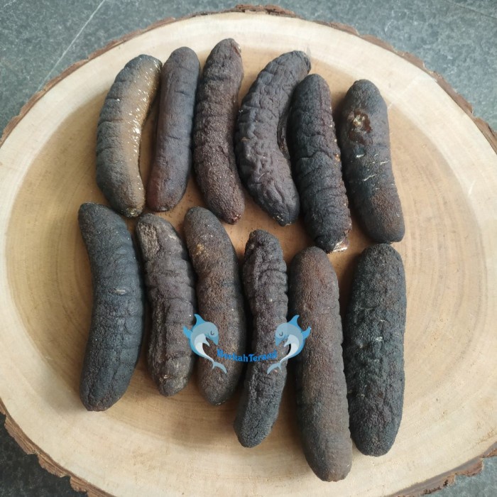 Jual Haisom/ Teripang / lintah laut/ sea cucumber asli BELITUNG isi 10 ...