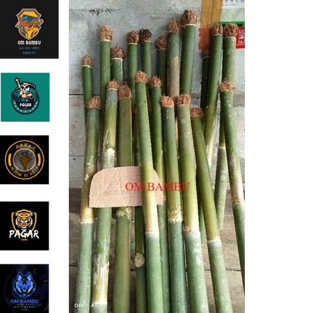 Jual obor bambu lentera bambu lengkap dengan sumbu nya | Shopee Indonesia