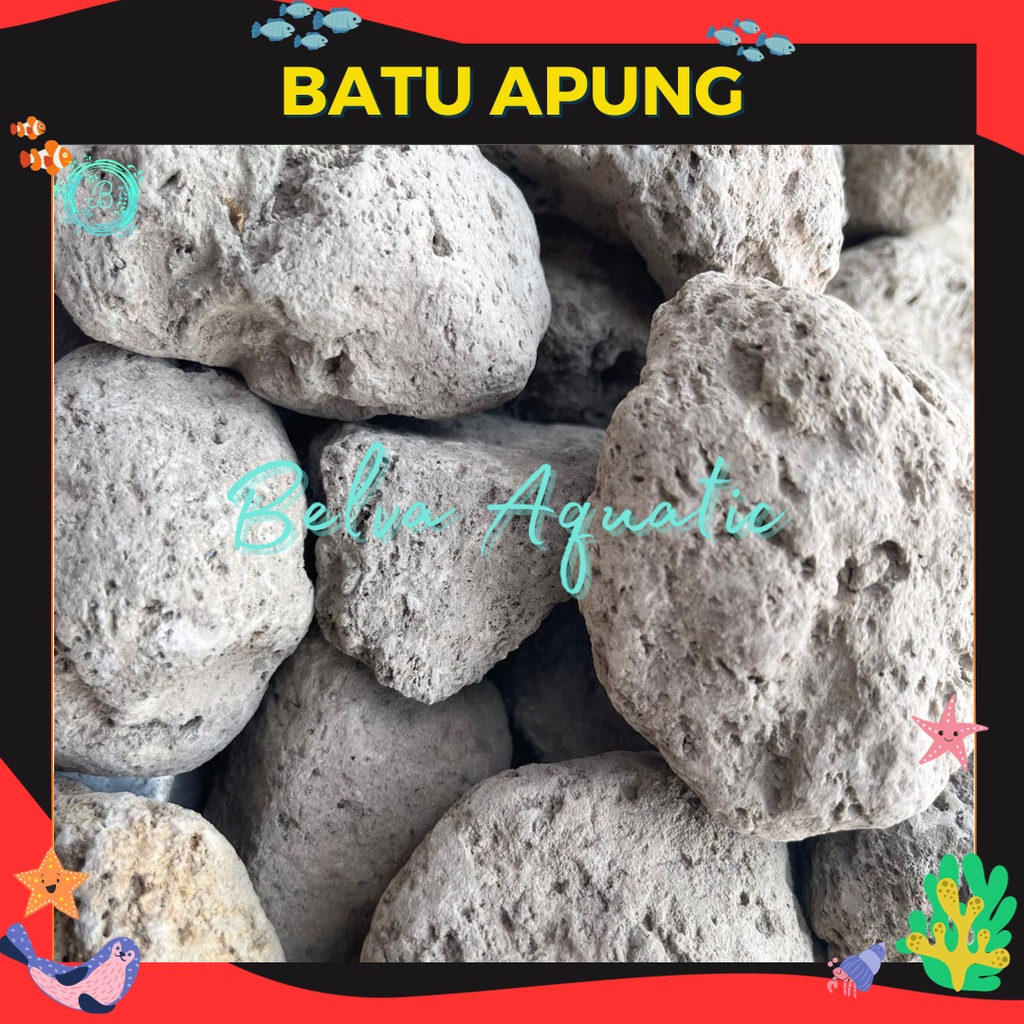 Jual Batu Apung Media Filter Aquarium Refill 500g 1kg Batu Media Filter ...